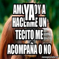 Meme Personalizado - Ya - 31736726