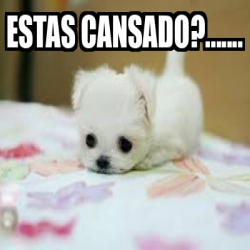 Meme Personalizado - Estas cansado?....... - 31739651