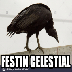 Meme Personalizado - FESTIN CELESTIAL - 31741054