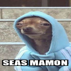 Meme Personalizado - Seas mamon - 31741525