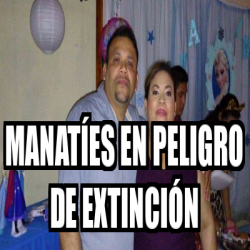 Meme Personalizado - Manatíes en peligro de extinción - 31741764