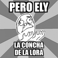 Meme Whyyy - pERO ELY LA CONCHA DE LA LORA - 31749516