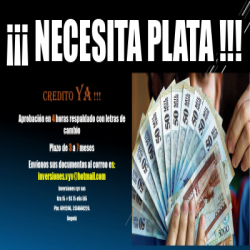 Meme Personalizado - ¡¡¡ NECESITA PLATA !!! - 31755847