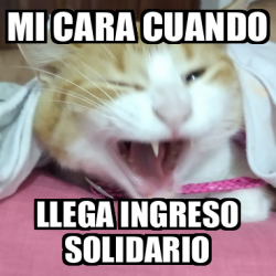 Meme Personalizado - MI CARA CUANDO LLEGA INGRESO SOLIDARIO - 31757436