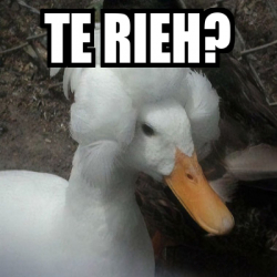 Meme Personalizado - TE RIEH? - 31773767