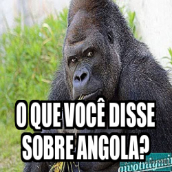 Meme Personalizado - O QUE VOCÊ DISSE SOBRE ANGOLA? - 31782094