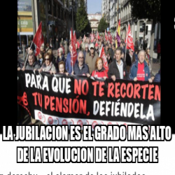 Meme Personalizado - La jubilacion es el grado mas alto de la evolucion ...