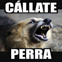 Meme Personalizado - Cállate Perra - 31786204