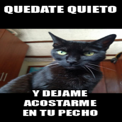 Meme Personalizado - quedate quieto y dejame acostarme en tu pecho ...