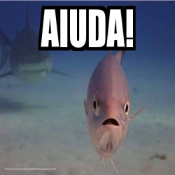 Meme Personalizado - aiuda! - 31084606