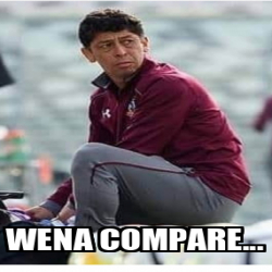 Meme Personalizado - Wena compare... - 31802059