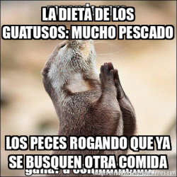 Meme Personalizado - La dieta de los gUatusos: mucho pescado Los peces ...