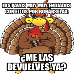 Meme Personalizado - los pavos muy muy enojados con ellos por ...