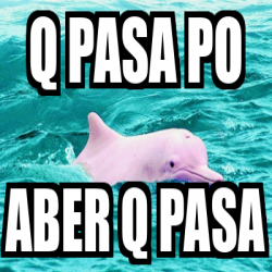 Meme Personalizado - Q PASA PO ABER Q PASA - 31812103
