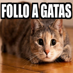 Meme Personalizado - Follo a gatas - 31814551