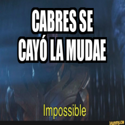 Meme Personalizado - Cabres se cayó la Mudae - 31814671