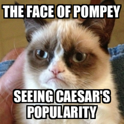 Meme Grumpy Cat - The face of pompey seeing caesar's popularity - 31816360