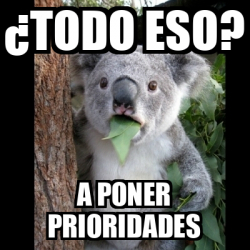 Meme Koala - ¿todo eso? a poner prioridades - 31817222