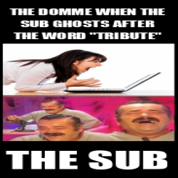 Meme Personalizado - the domme when the sub ghosts after the word ...