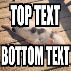 Meme Personalizado - top text bottom text - 31817830