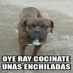Meme Personalizado - oye ray cocinate unas enchiladas - 31820394
