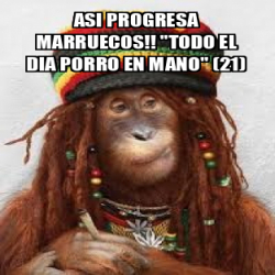 Meme Personalizado - ASI PROGRESA MARRUECOS!! "TODO EL DIA PORRO EN ...