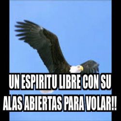 Meme Personalizado - UN ESPIRITU LIBRE CON SU ALAS ABIERTAS PARA VOLAR ...