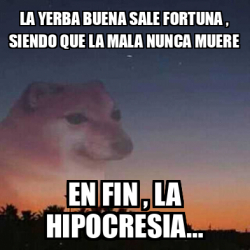 Meme Personalizado - La yerba buena sale fortuna , siendo que la mala ...