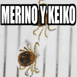 Meme Personalizado - MERINO Y KEIKO - 31833767