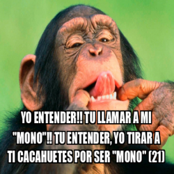 Meme Personalizado - YO ENTENDER!! TU LLAMAR A MI "MONO"!! TU ENTENDER ...