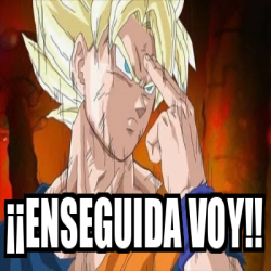 Meme Personalizado - ¡¡Enseguida voy!! - 31843912