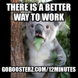 Meme Koala - There is a better way to work GoBoosterz.com/12minutes ...