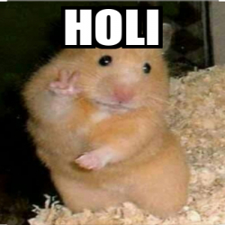 Meme Personalizado - Holi - 31846914