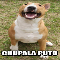 Meme Personalizado - Chupala Puto - 31847626