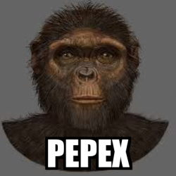 Meme Personalizado - pepex - 31849676