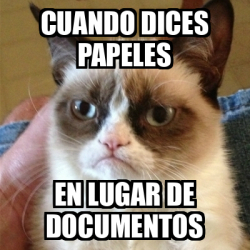 Meme Grumpy Cat - CUANDO DICES PAPELES EN LUGAR DE DOCUMENTOS - 31850301