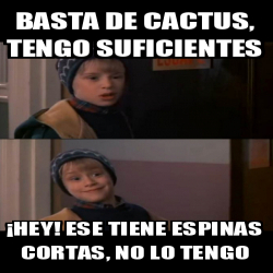Meme Personalizado - Basta de cactus, tengo suficientes ¡HEY! ese tiene ...