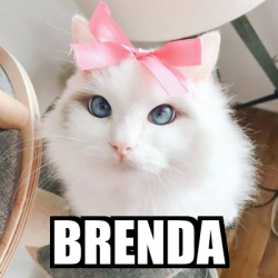 Meme Personalizado - Brenda - 31850836