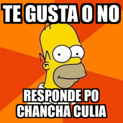 Meme Homer - te gusta o no responde po chancha culia - 31857746