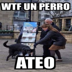 Meme Personalizado - wtf un perro ateo - 31859106
