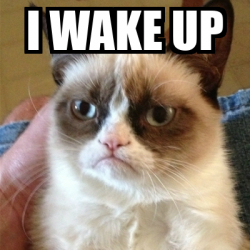Meme Grumpy Cat - i wake up - 31863207