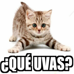 Meme Personalizado - ¿Qué uvas? - 31865877