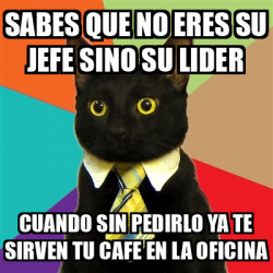 Meme Business Cat - Sabes que no eres su jefe sino su lider cuando sin ...