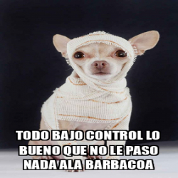 Meme Personalizado - Todo bajo control lo bueno que no le paso nada ala ...