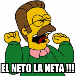 Meme Personalizado - el neto la neta !!! - 31876162