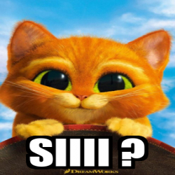 Meme Personalizado - SIIII ? - 31878445