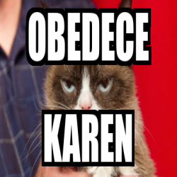 Meme Personalizado - Obedece karen - 31879364