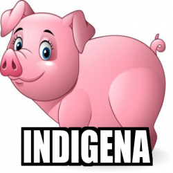Meme Personalizado - indigena - 31883239