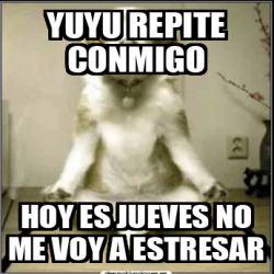 Meme Personalizado - Yuyu repite conmigo Hoy es jueves no me voy a estresar - 31883665
