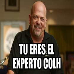 Meme Personalizado - Tu eres el experto colh - 31896616
